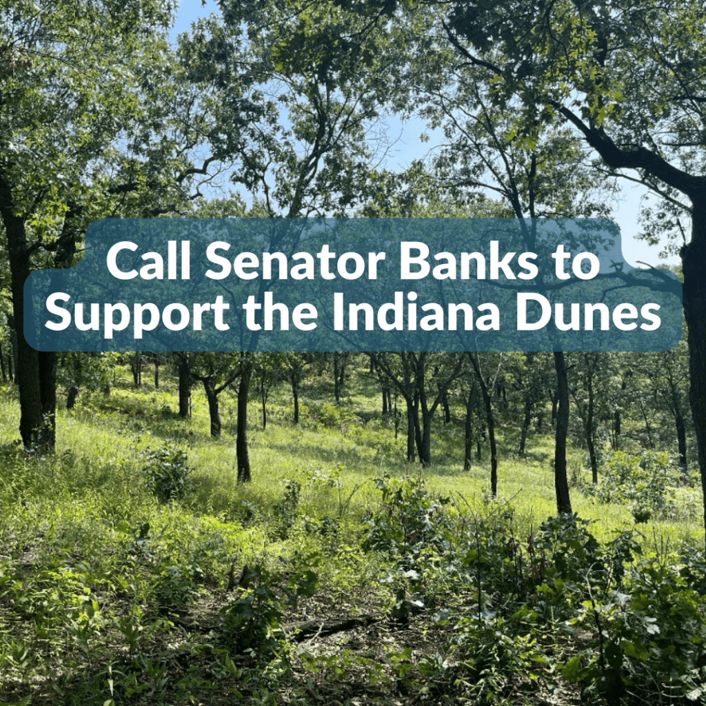 Call Senator Banks to Support the Indiana Dunes - Save the Dunes